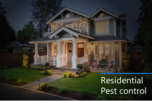 Alpine Pest Control Vancouver | Pest Exterminator Vancouver BC